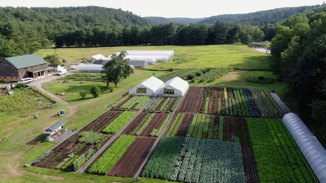 Neversink Farm Market Garden Farming Course – Neversink Education
